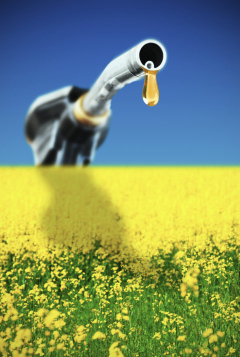 Is Your Waste Oil Being Upcycled?